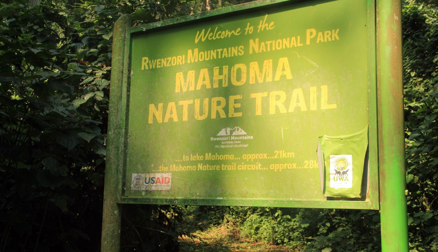 Mahoma Nature Trail | Rwenzori mountains trekking, Rwenzori mountains ...